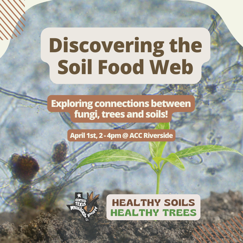 Discovering the Soil Food Web — Central Texas Mycological Society
