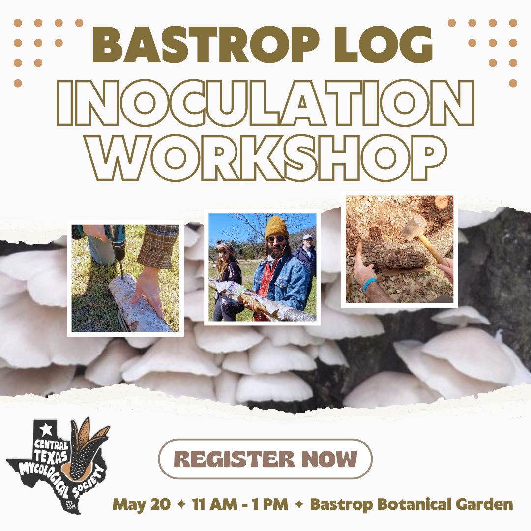 Workshops & Walks — Central Texas Mycological Society