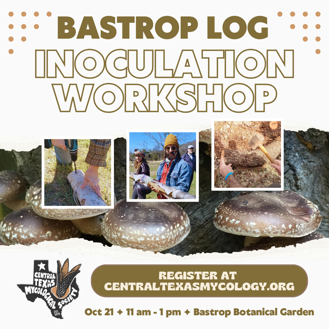 BASTROP: Shiitake Log Inoculation Workshop — Central Texas Mycological ...
