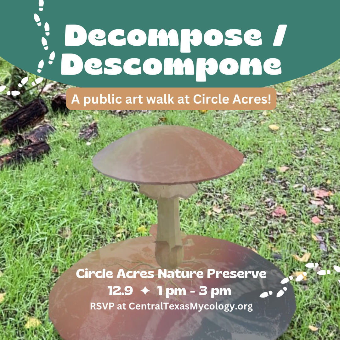 AUSTIN: Decompose / Descompone: A public art walk at Circle Acres ...