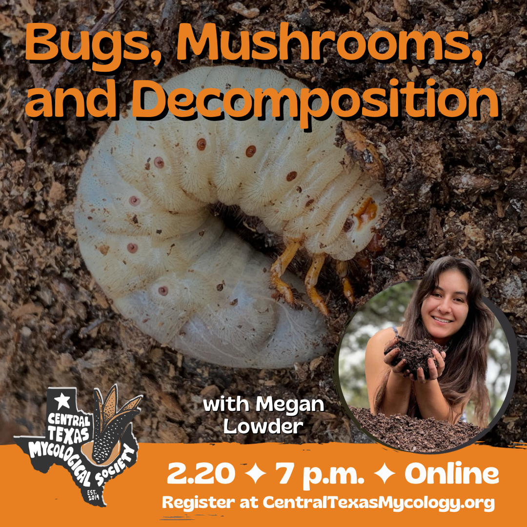 ONLINE: Bugs, Mushrooms, and Decomposition — Central Texas Mycological ...