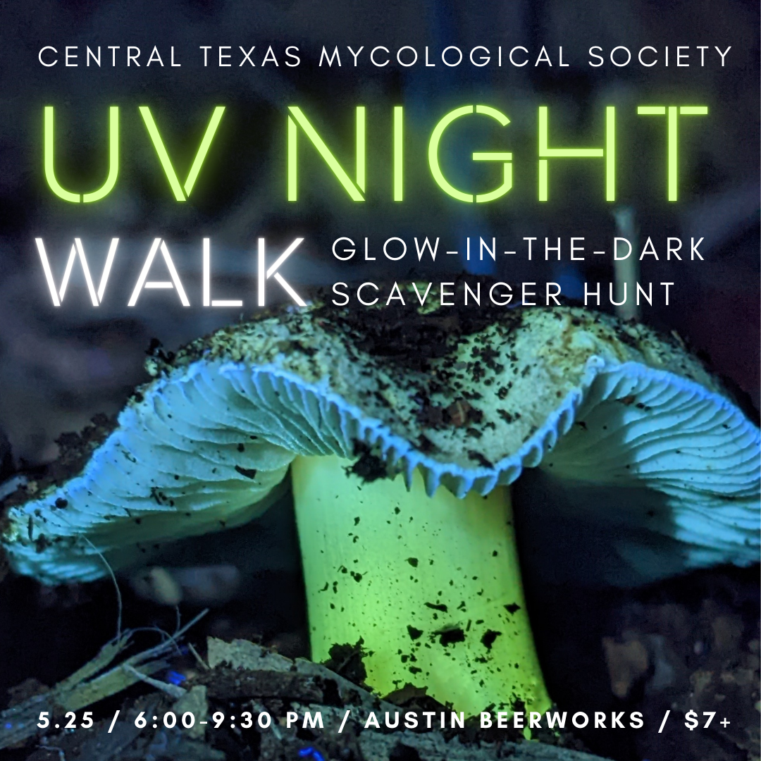AUSTIN: UV Night Walk & Happy Hour — Central Texas Mycological Society