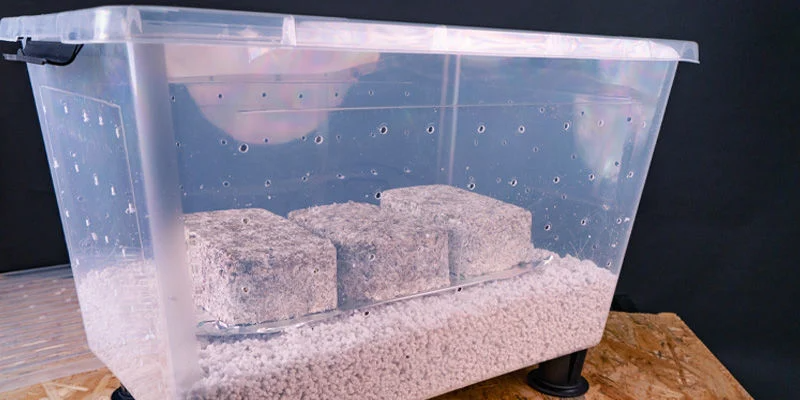 How to Make a Shotgun Fruiting Chamber — Central Texas Mycological Society