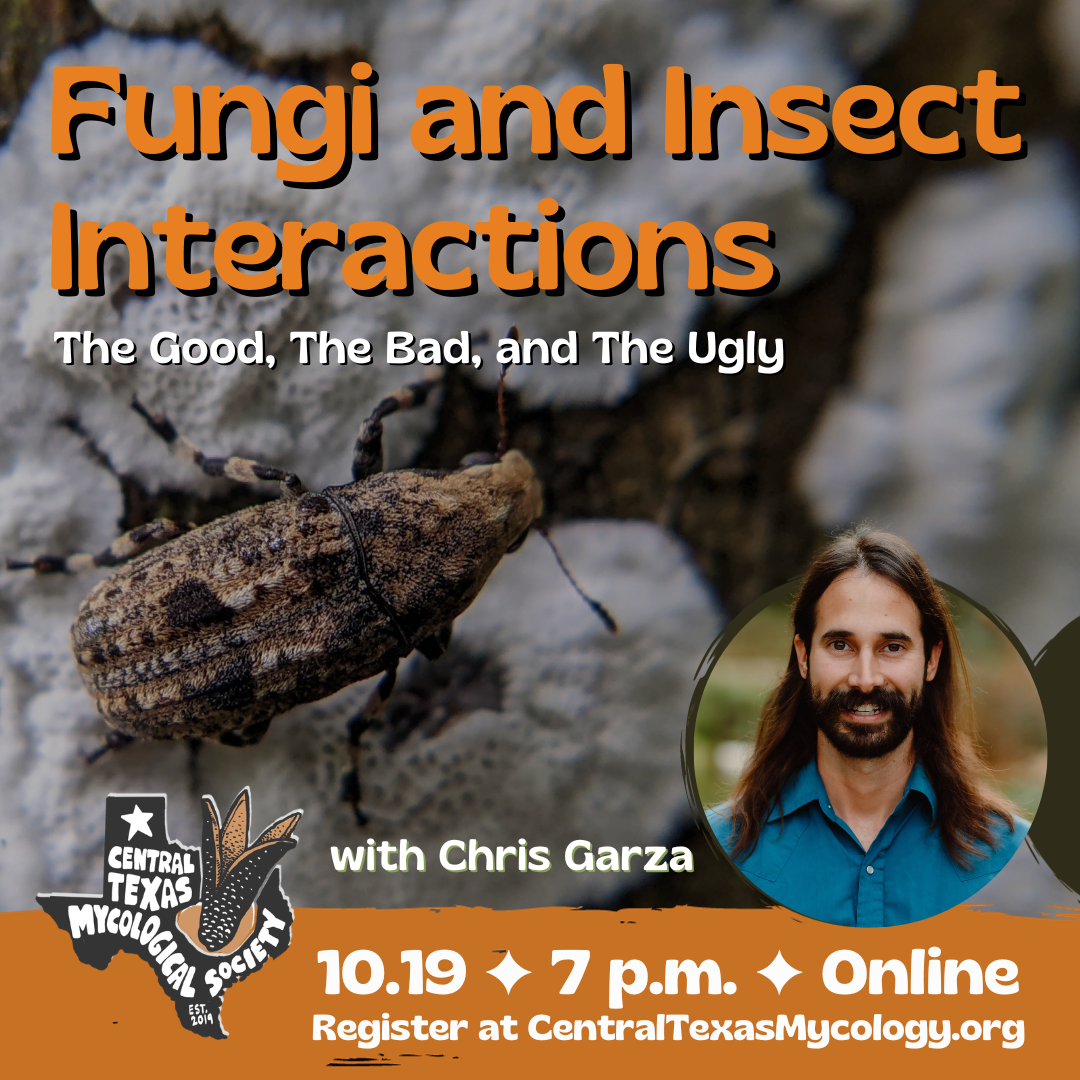 ONLINE: Fungi and Insect Interactions: The Good, The Bad, and The Ugly ...