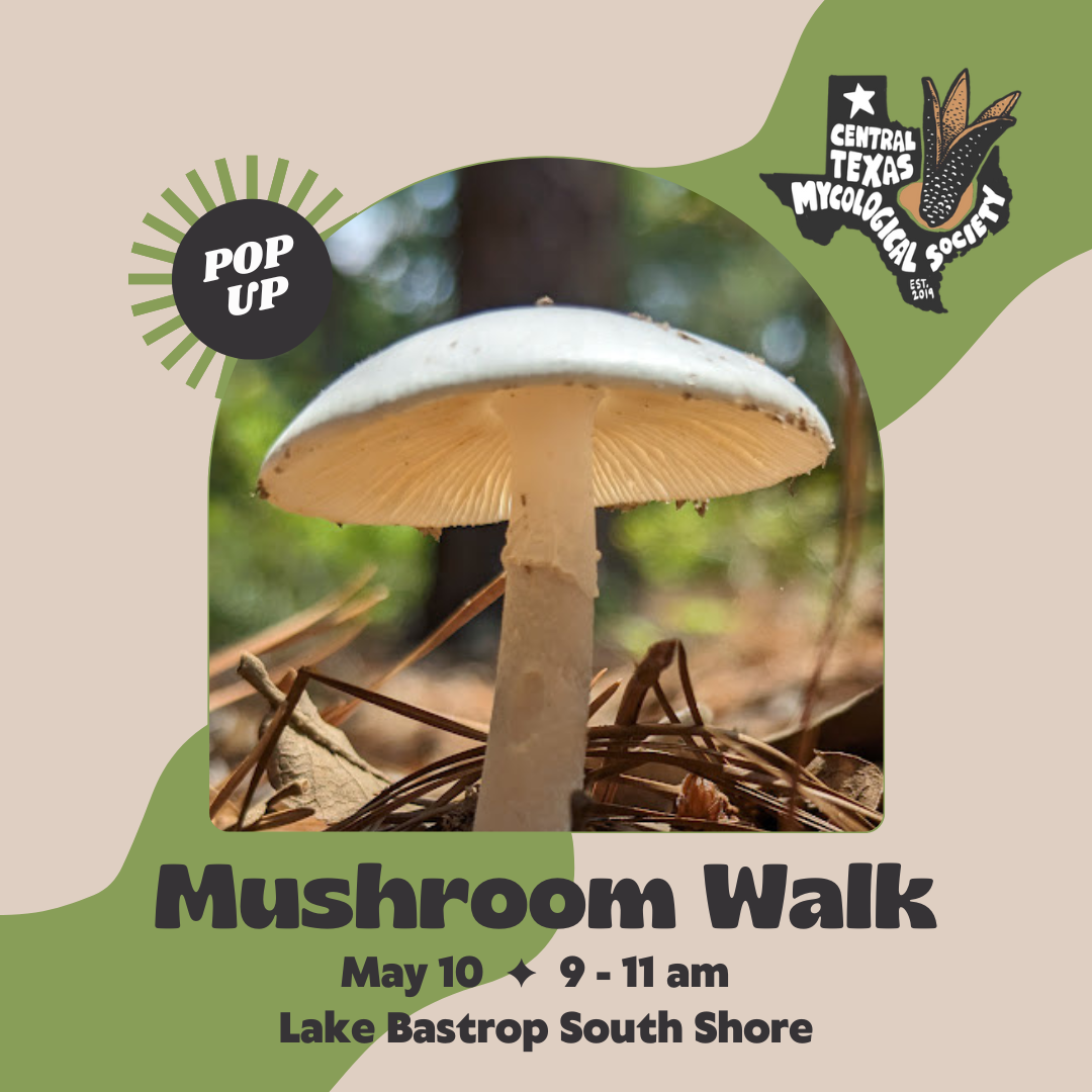 BASTROP: Pop-up Mushroom Walk — Central Texas Mycological Society