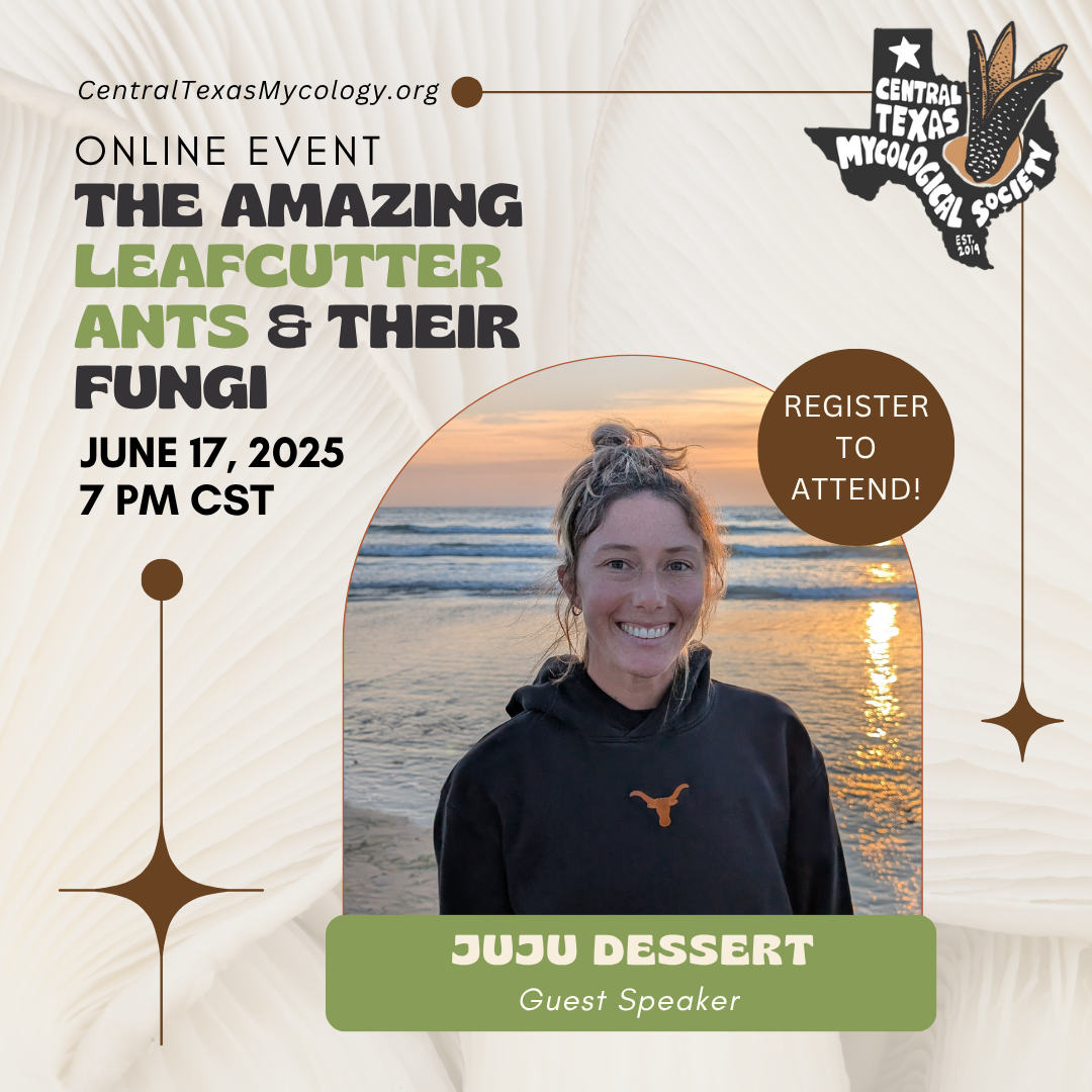 ONLINE: The Amazing Leafcutter Ants & Their Fungi — Central Texas ...