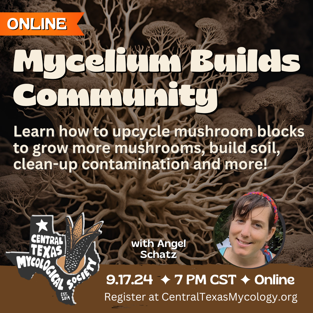 ONLINE: Mycelium Builds Community — Central Texas Mycological Society