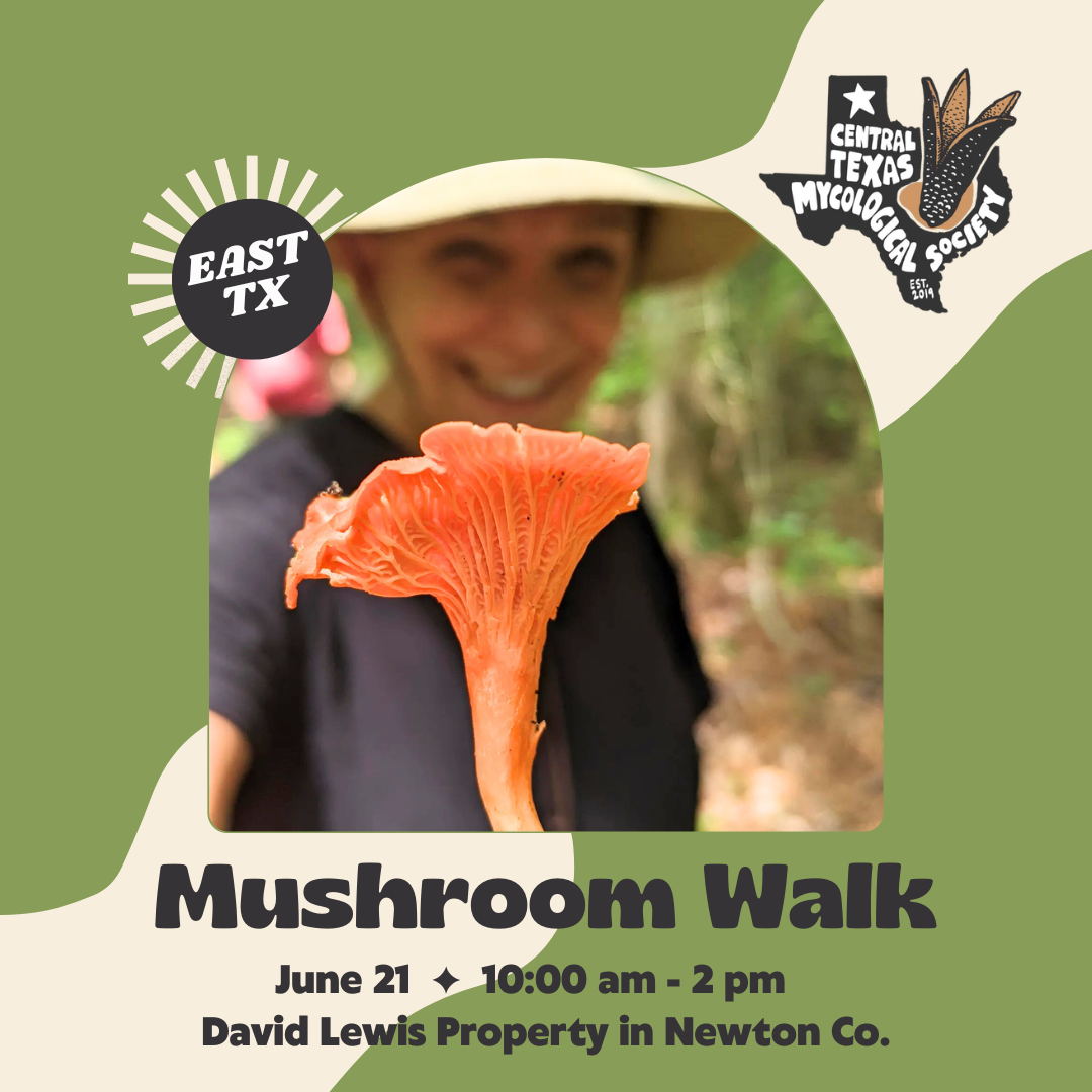 EAST TEXAS: Mushroom Walk at David Lewis Property — Central Texas ...