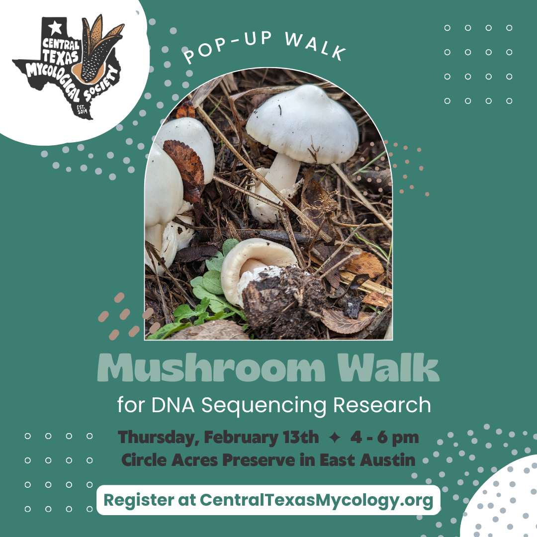 AUSTIN: Mushroom Walk for DNA Sequencing Research — Central Texas ...