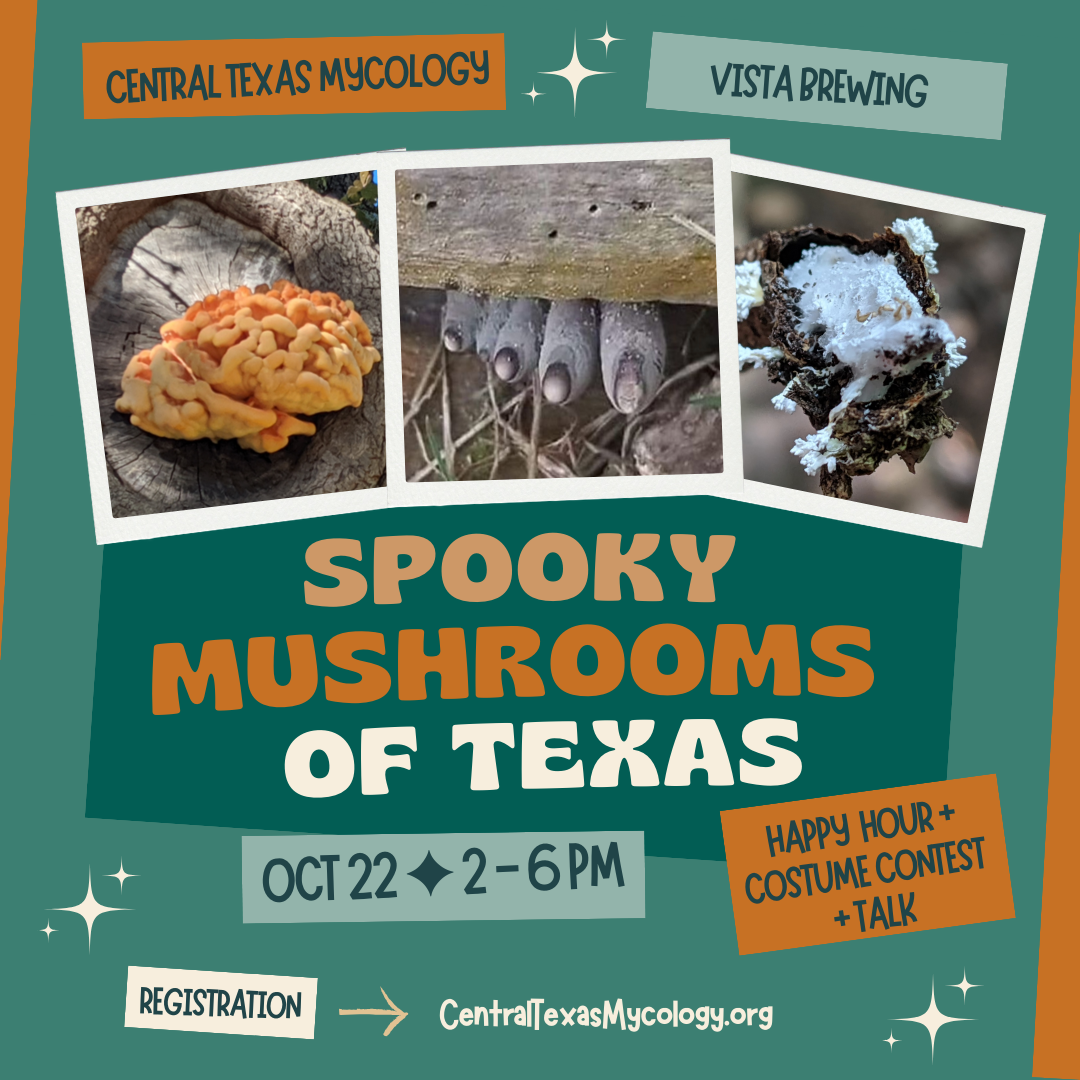 Workshops & Walks — Central Texas Mycological Society