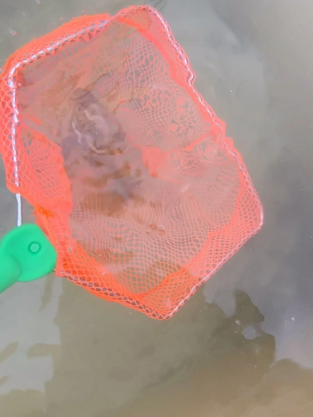 Little Jim Bait & Tackle