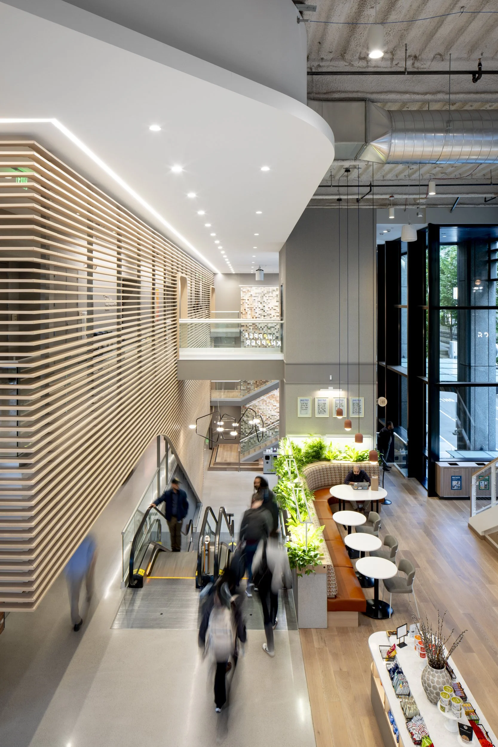 Amazon Blackfoot — FC STUDIO