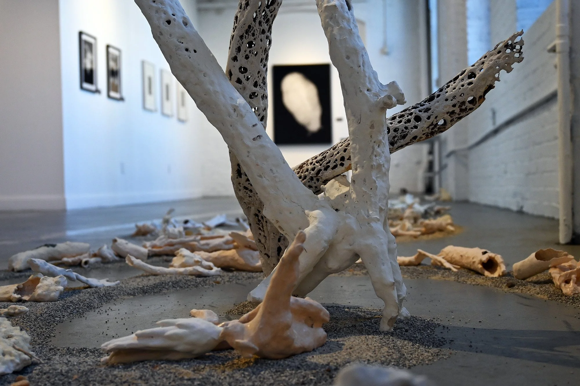 Constance McBride — Philadelphia Sculptors