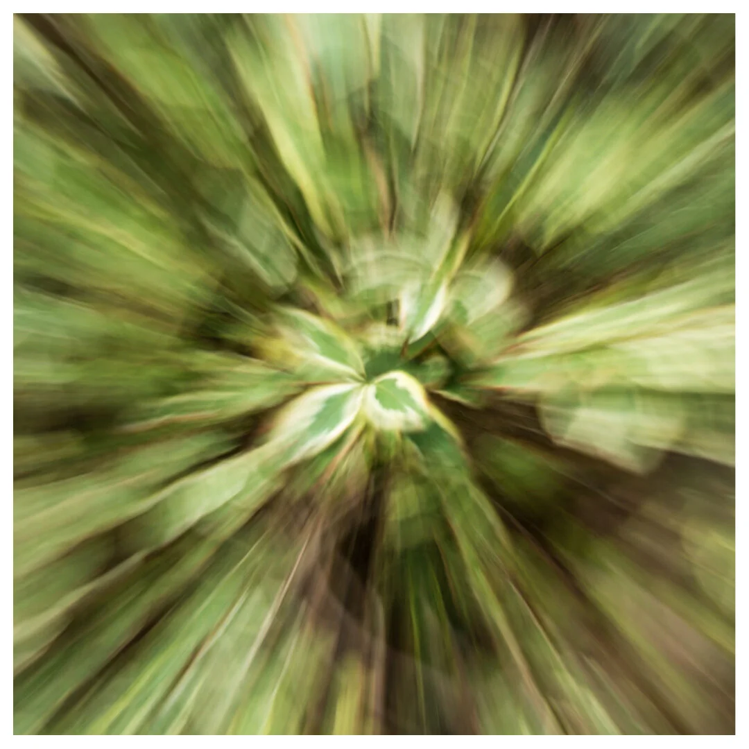 Zoom Out Photography