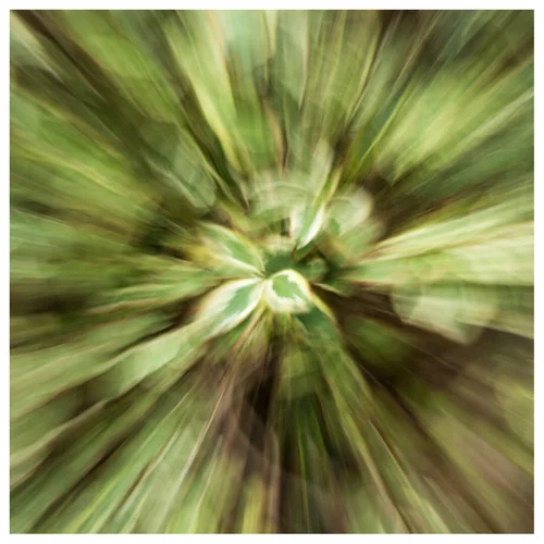 Perfect for photography lovers and aspiring photographers — I Welly ...