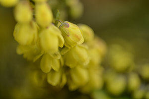 Perfect for photography lovers and aspiring photographers — I Welly ...