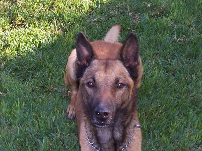 Photo Gallery — Long Beach K9 Officers Association