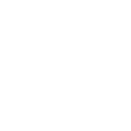 CFM Crash Courses — CrazyFlippinMom