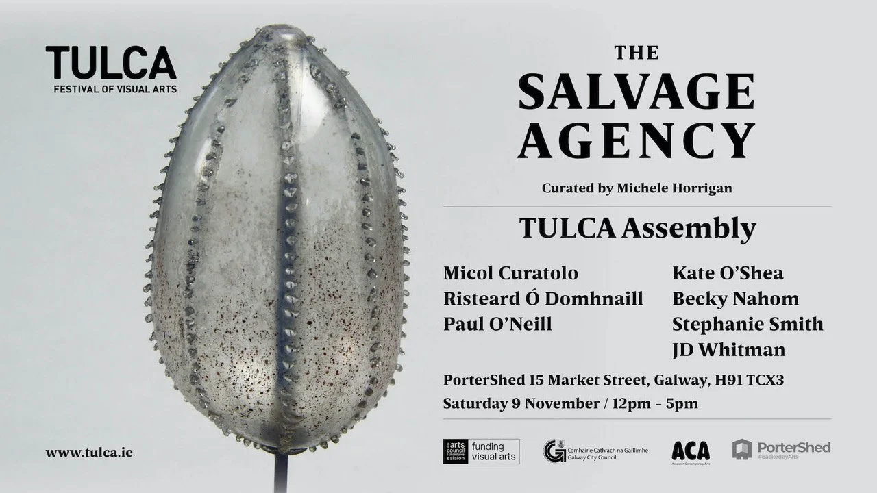 Events Overview — TULCA Festival of Visual Arts