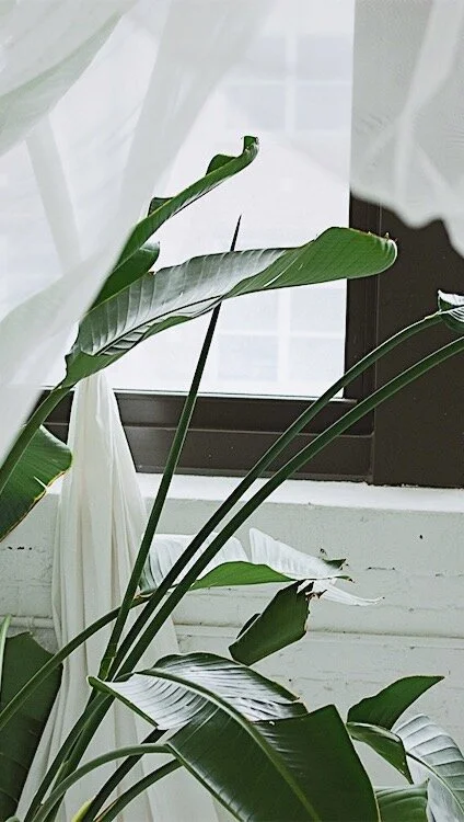 Sessions. — refresHER.