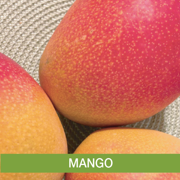 Fruits — Ultra Ingredients