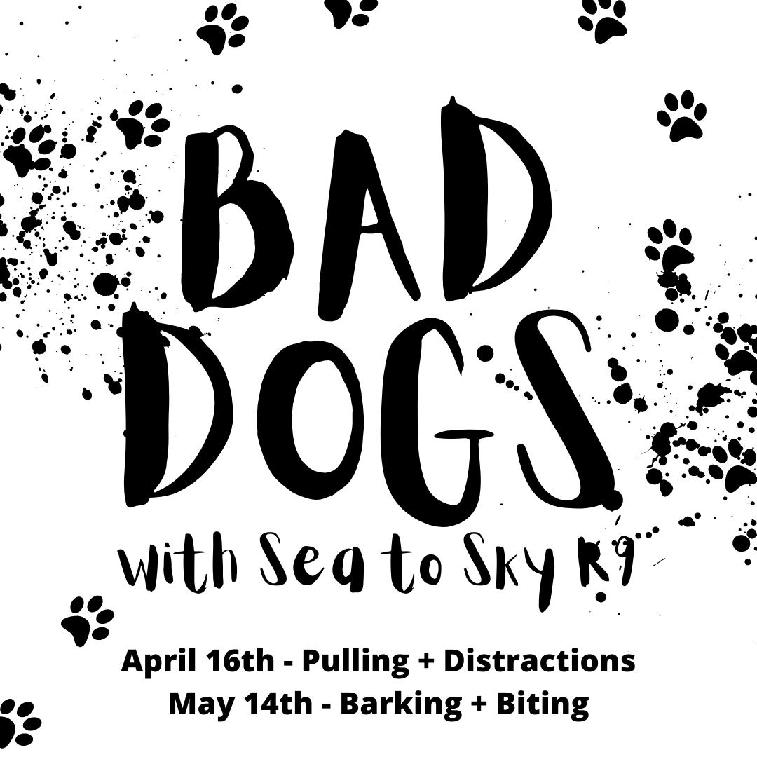 Workshops — The Bad Academy