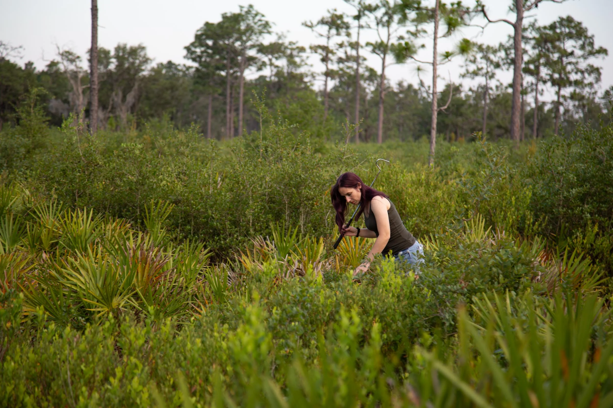 Swamp Girl Adventures