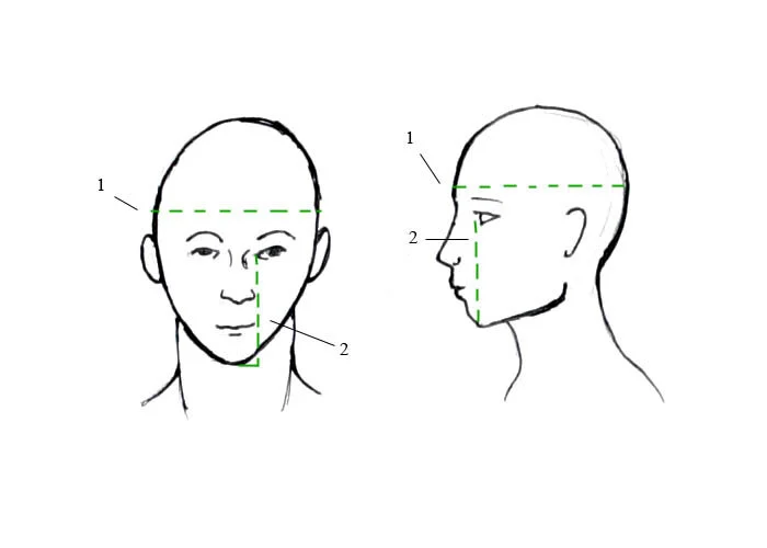 head measurements — Clockwork Creature