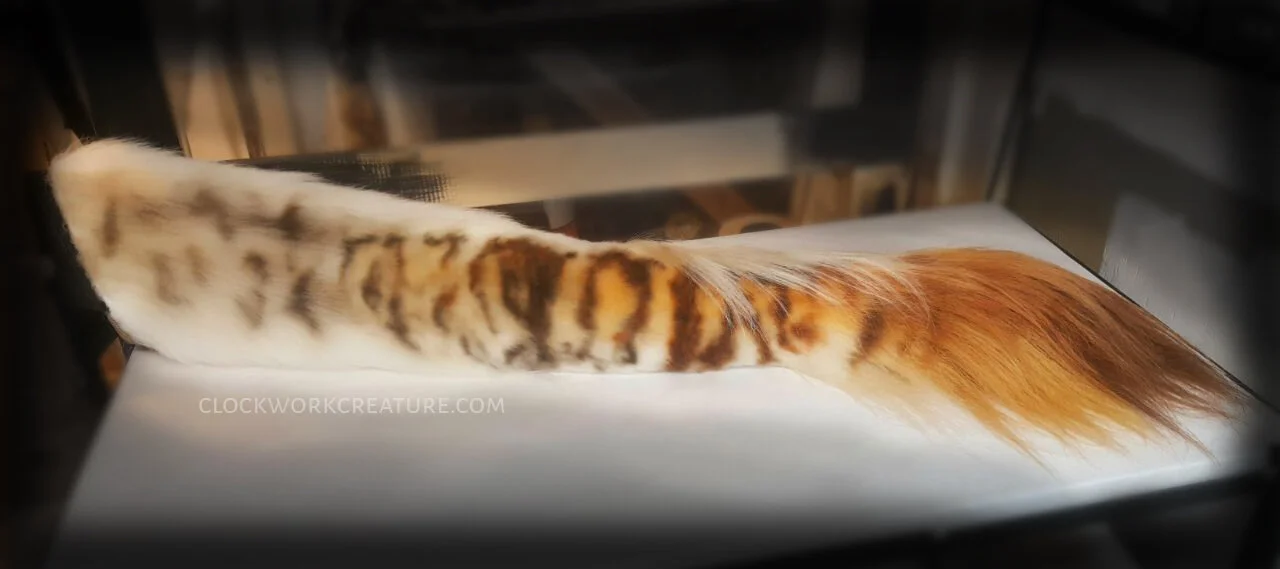 Rapha's tail — Clockwork Creature