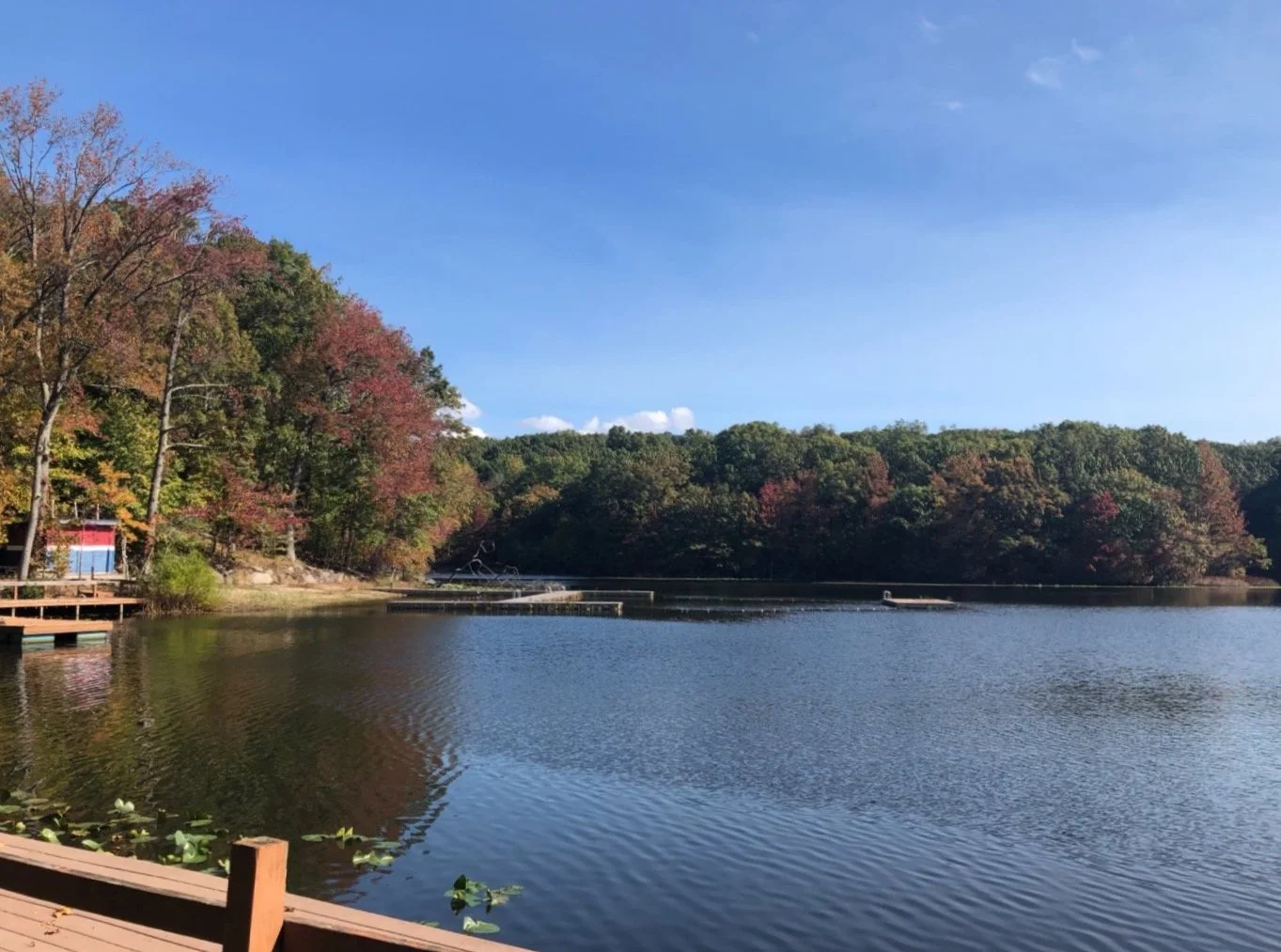 30 Nature Day Trips from New York City Under an Hour-and-a-Half — Alex ...