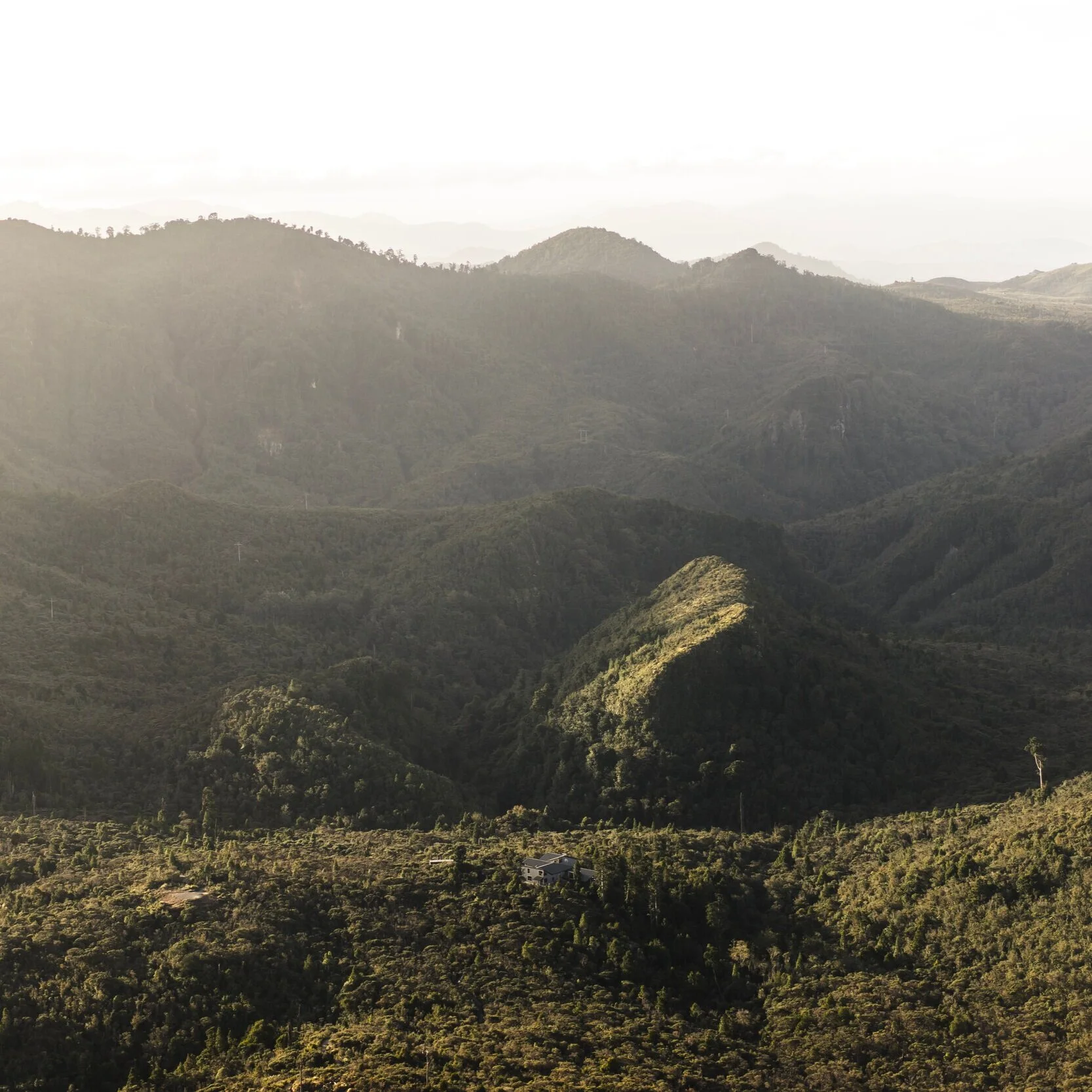 The Pinnacles Track — AOTEA ROAMERS