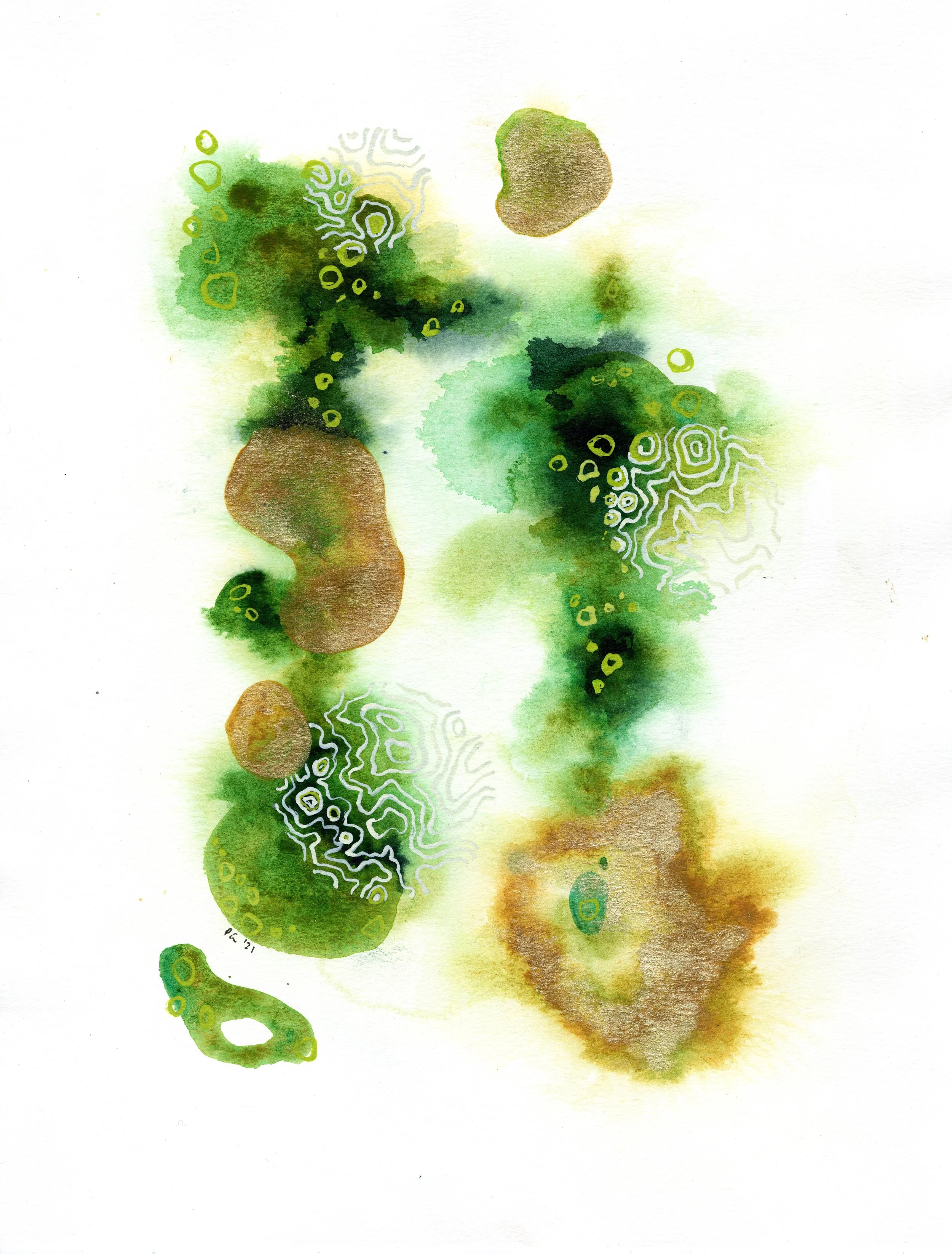 Life Cycle: Pia Guilliatt and Darcy Shilton — Brunswick Street Gallery