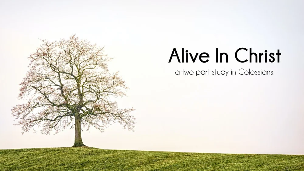 Alive in Christ — Mountain View Baptist Church