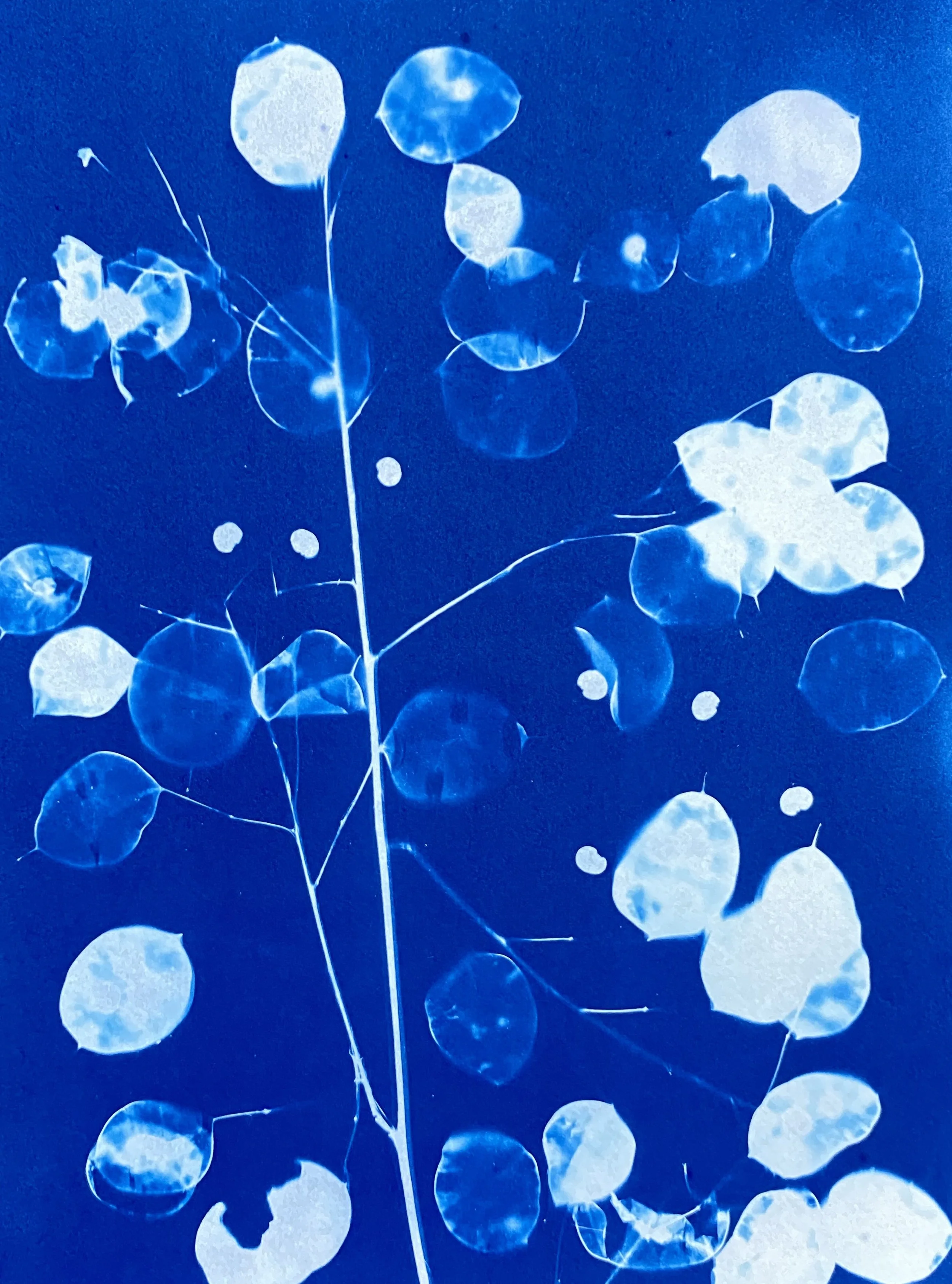MARIA VIGERS — Coburg House Art Studios