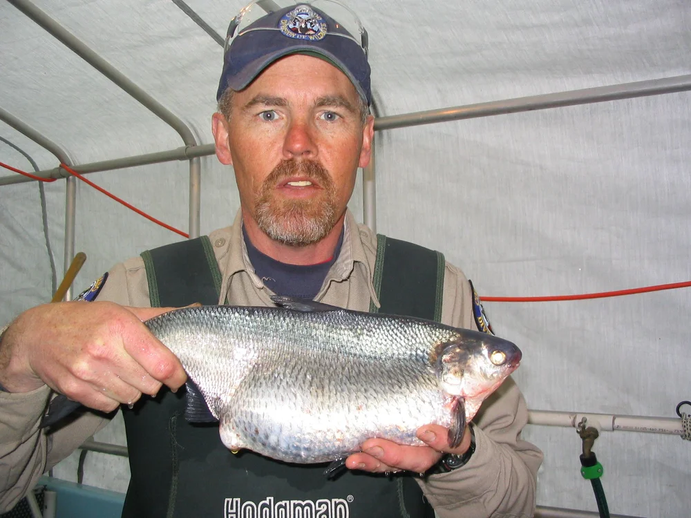 CCTU May Chapter Meeting - Paul Winkle, Aquatic Biologist for CPW; Phil ...