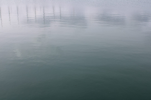 Photography — Rachel Naughton