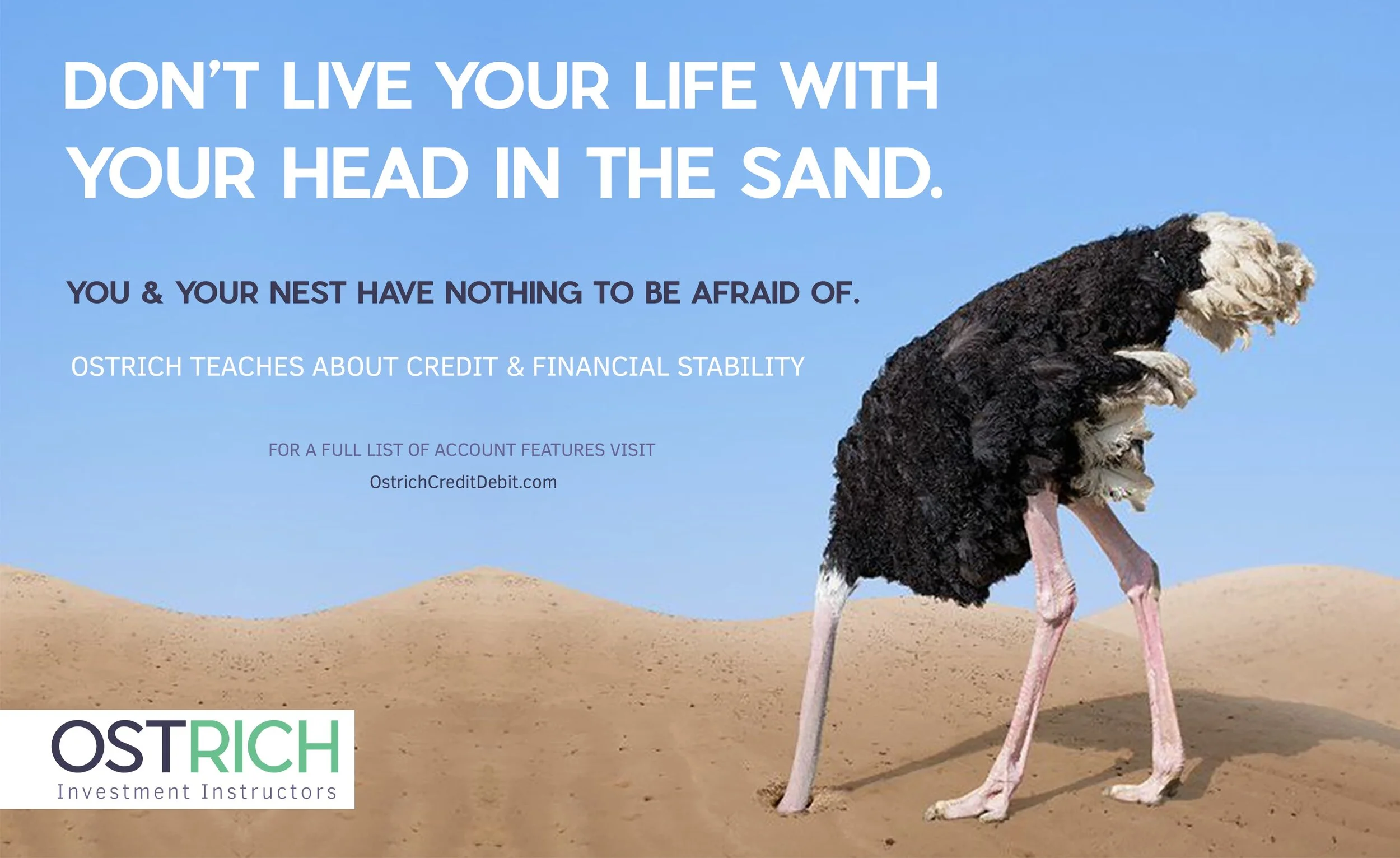 OSTRICH — Daniel Koerner