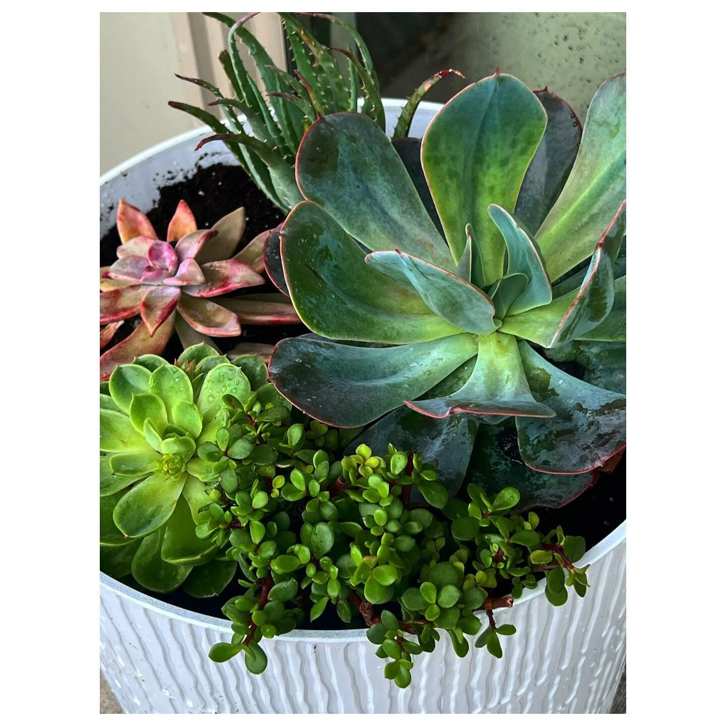 Intent Hot Yoga | Yoga Bellingham | Hot Yoga