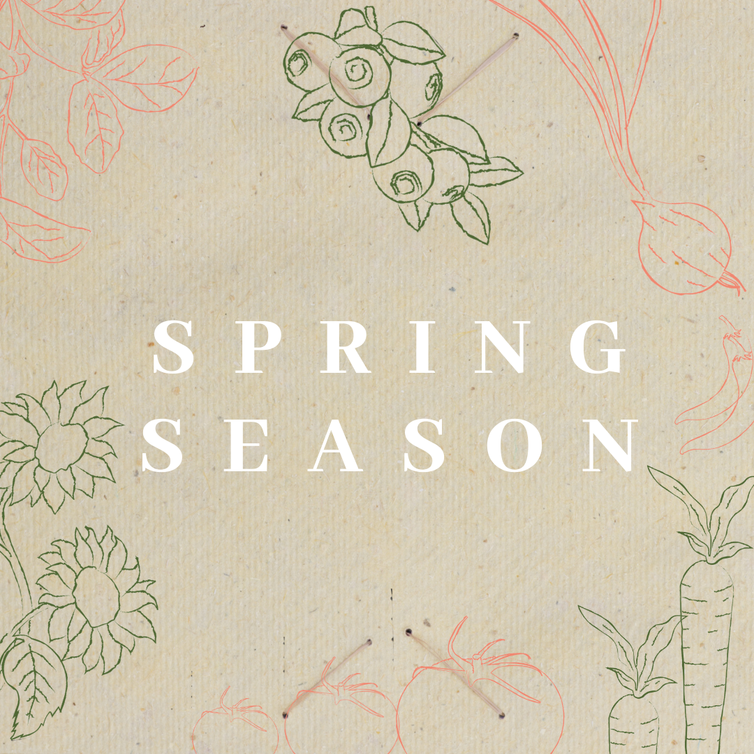 E126: We're Back With Our Spring Season! Chatting Seed Starting, Soil ...