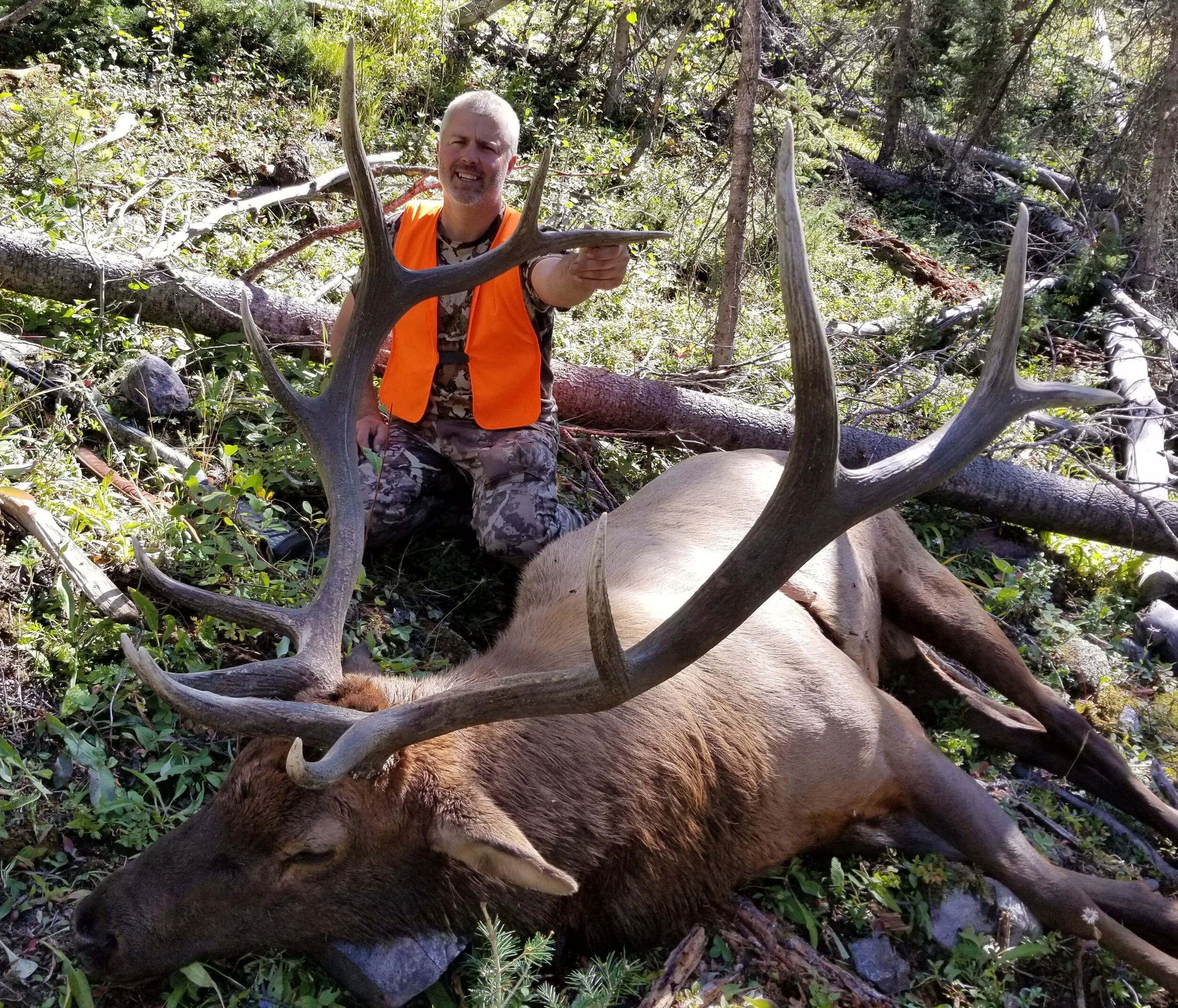 Vallecito Lake Outfitters — Hunting Trips | (970)759-9135