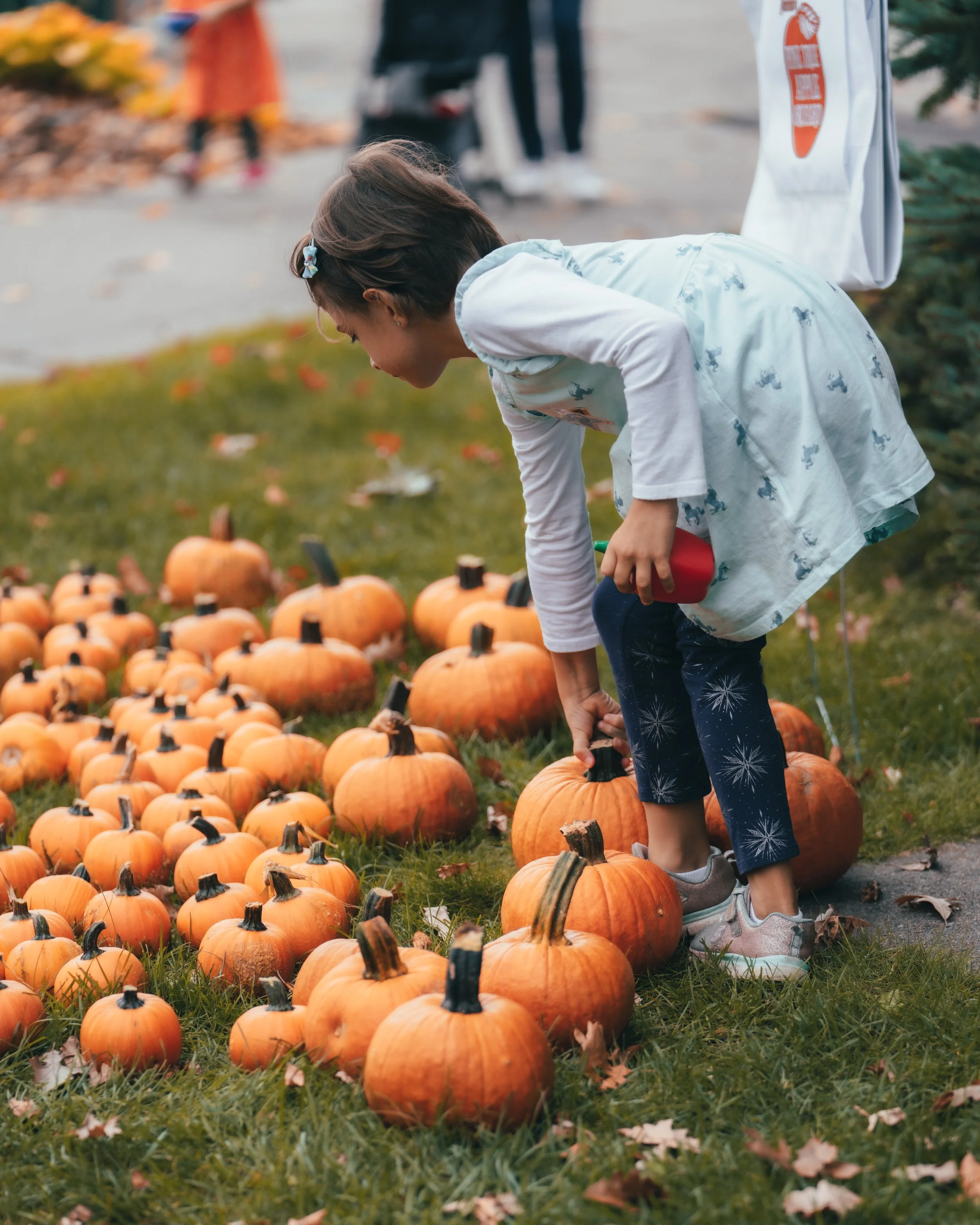 Fall Fest — Downtown White Bear Lake
