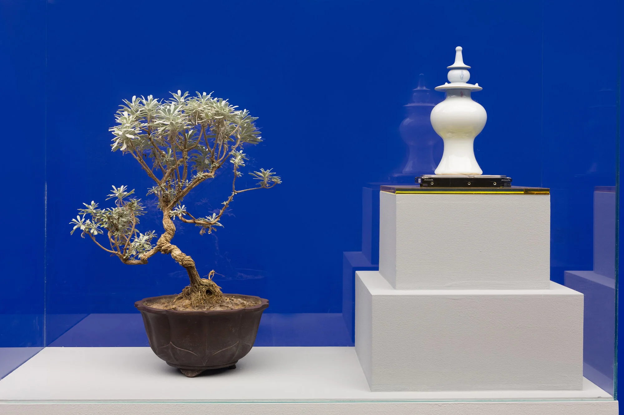 2019_Stayed, 7 — Chen Zhou Studio