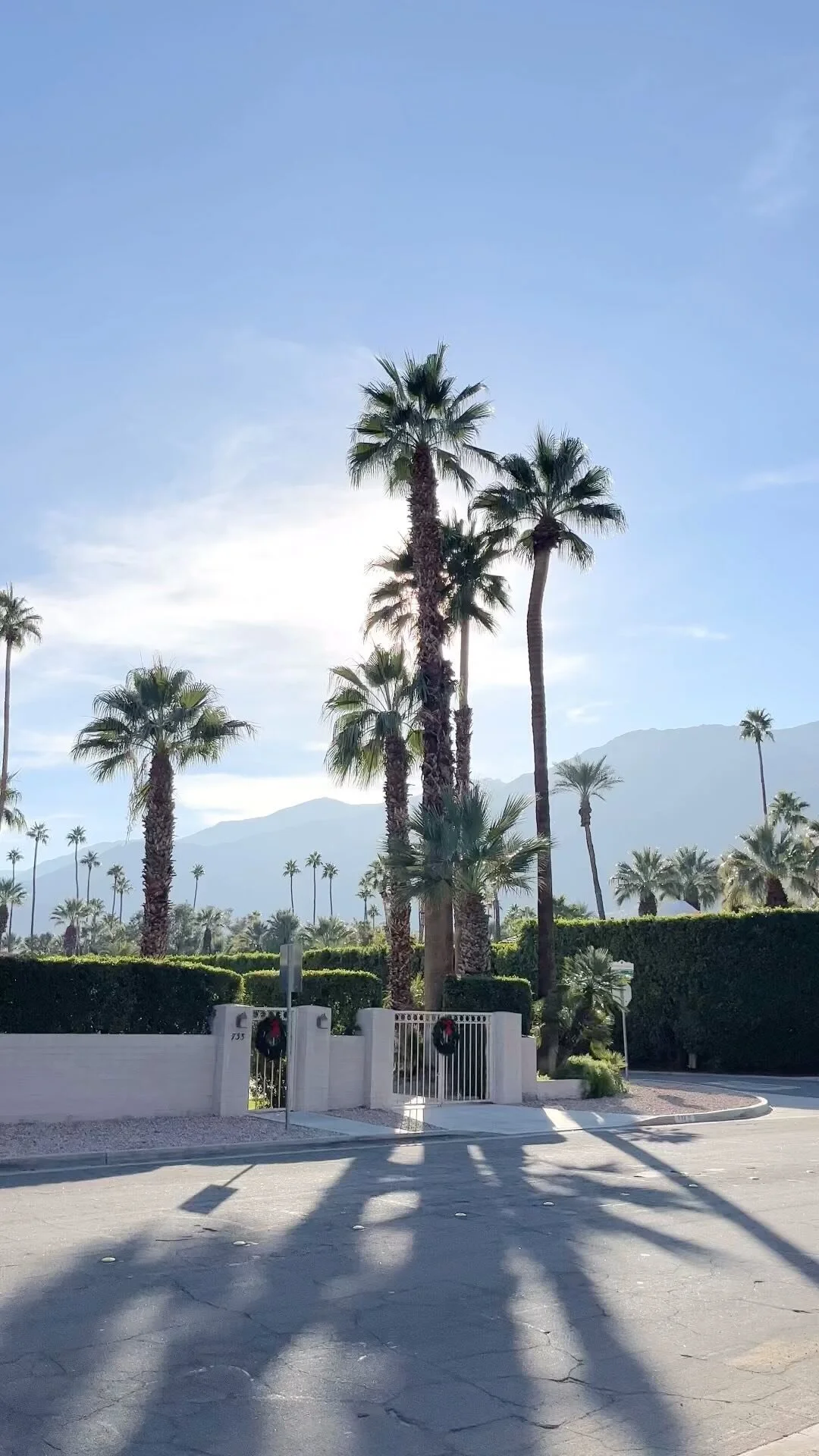 California Cool — Carrie A Mitchell