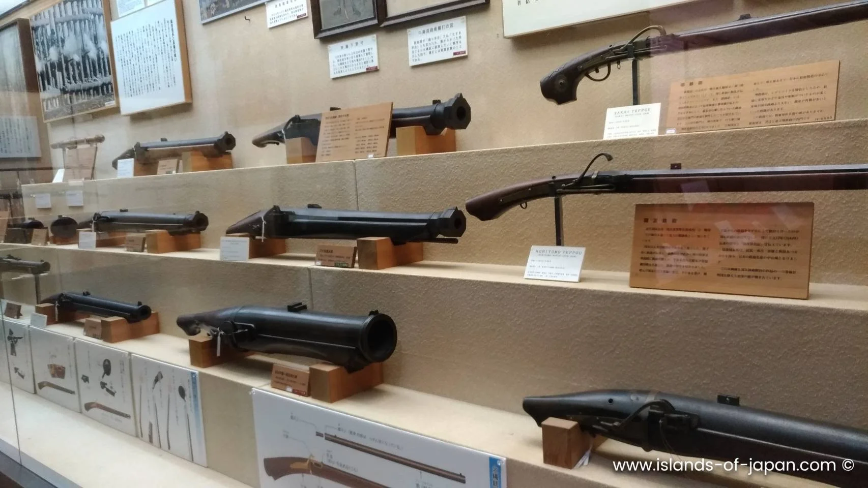 Tanegashima | Guiding, Booking & Info Service