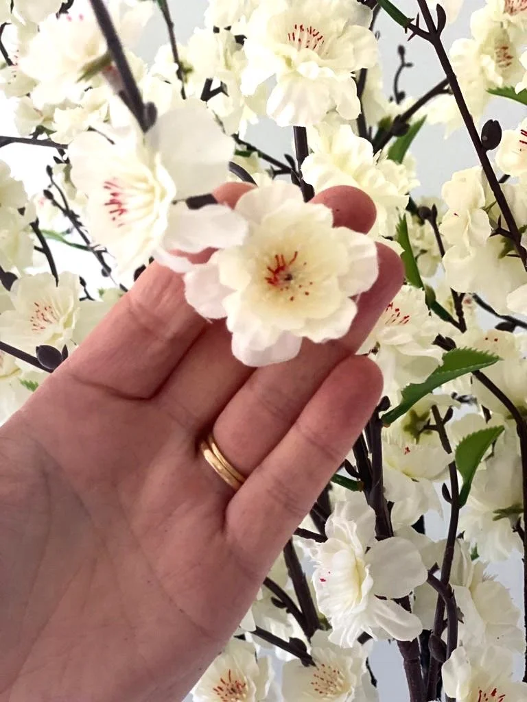 Shop — Sarah Stuart Flowers