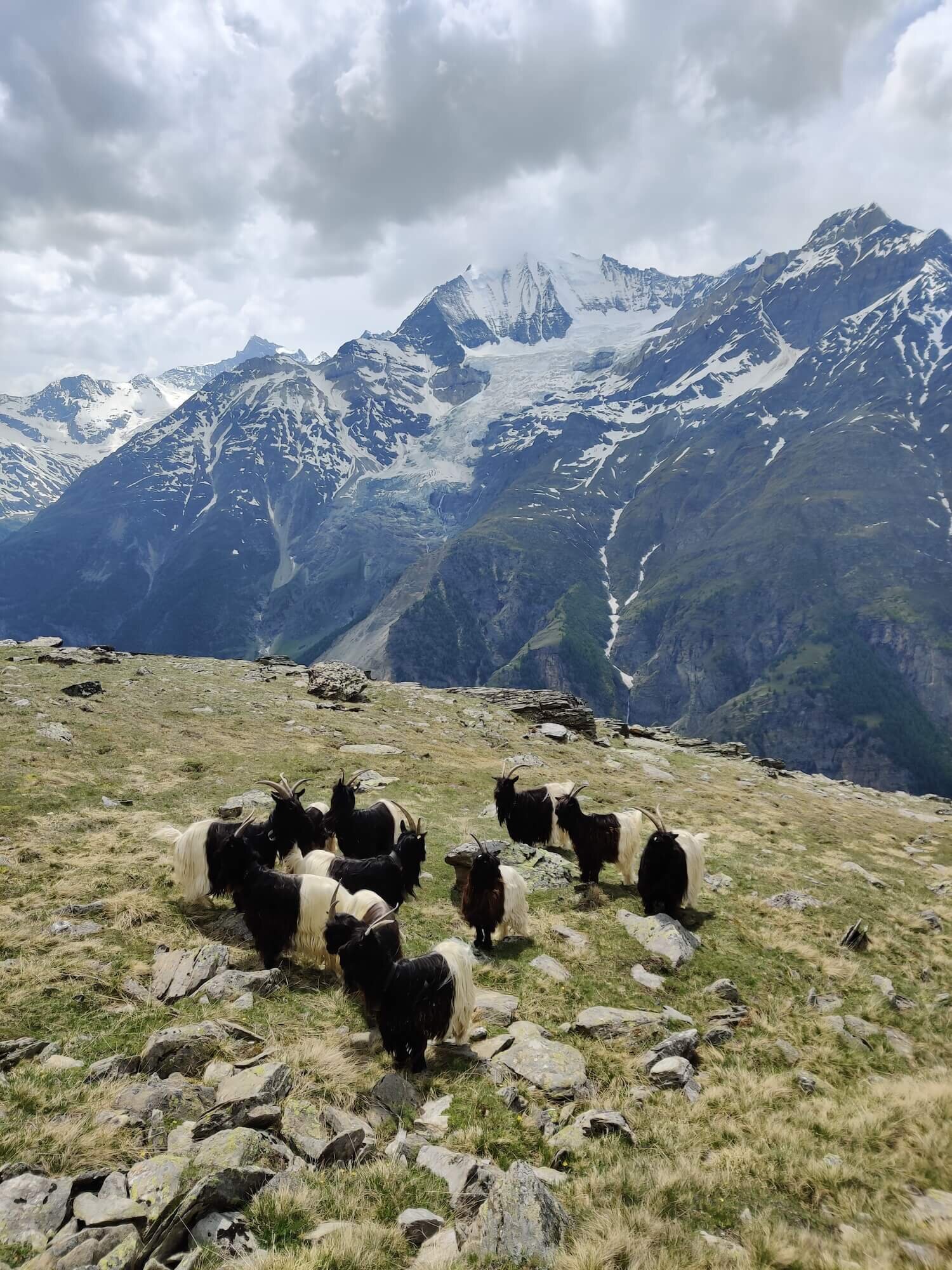 Tour of Monte Rosa: The Main Trail — The Hiking Club