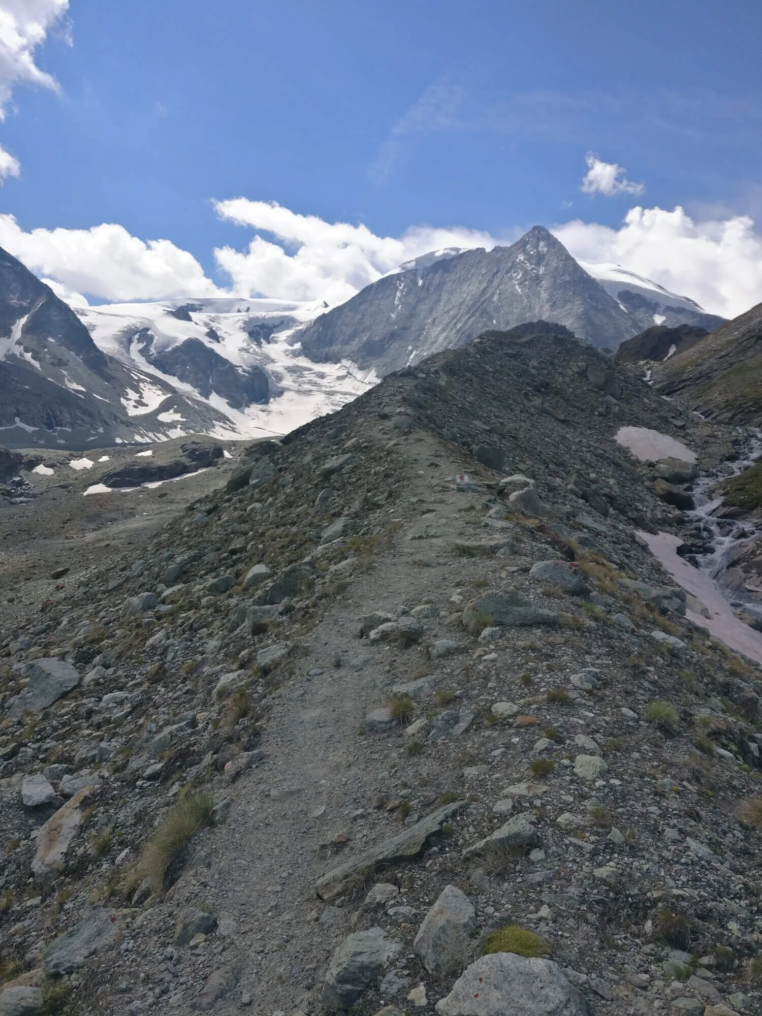 Walker's Haute Route: The Main Trail — The Hiking Club