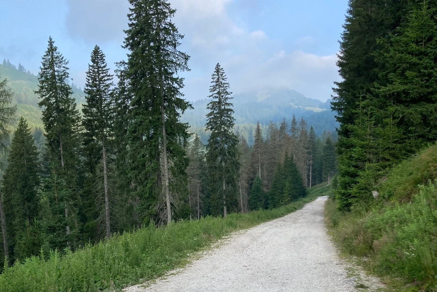 What are the different trail types in the Italian Alps? — The Hiking Club