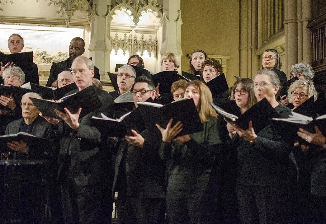 Opera in the Park — Courtney's Stars of Tomorrow