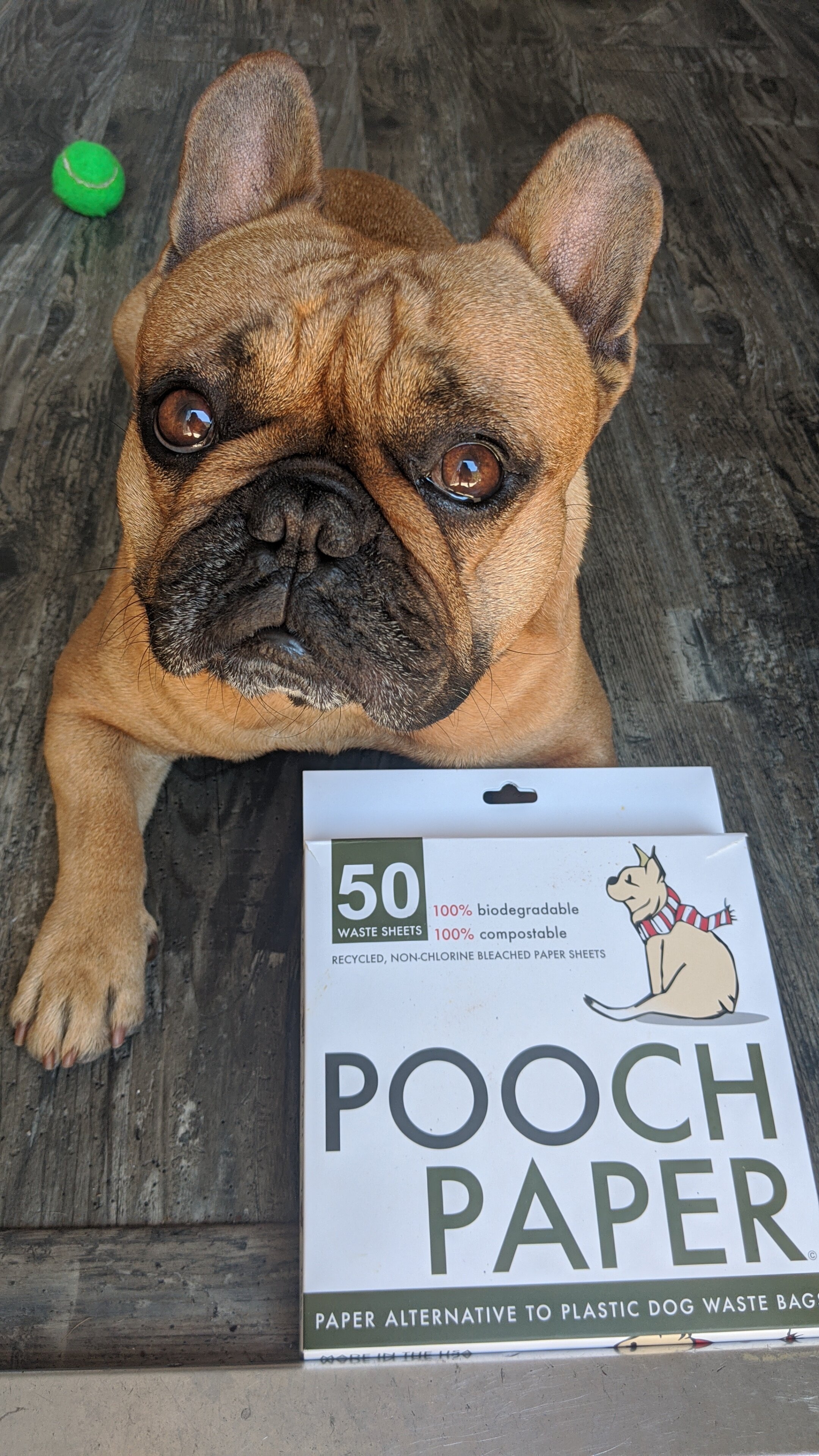 In the Press — Pooch Paper